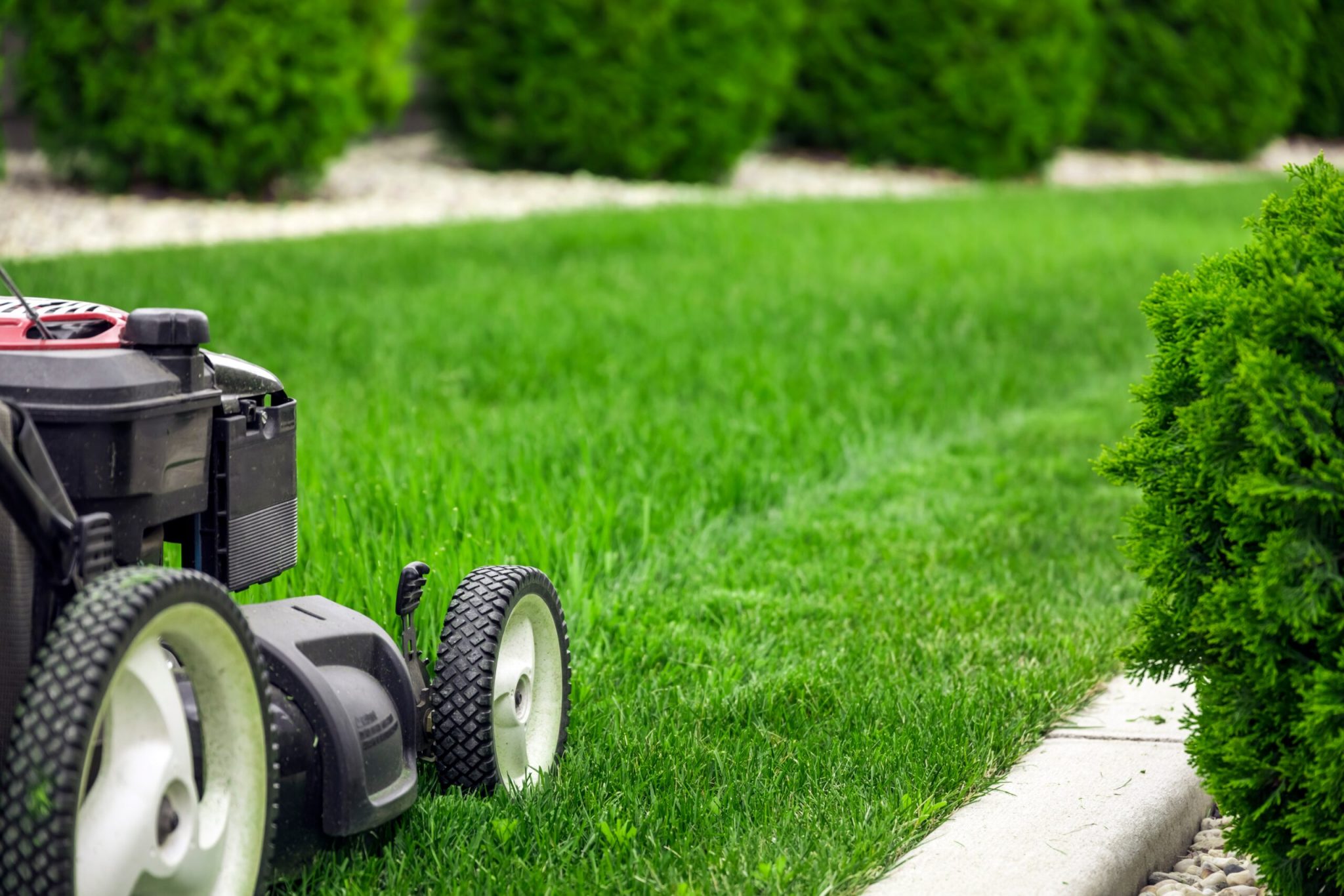 Tondeuse à gazon Kobalt 40V Vs Tondeuse à gazon automotrice Makita ...